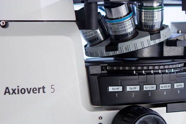 İncekaralar - ZEISS Axiovert Invert Mikroskop